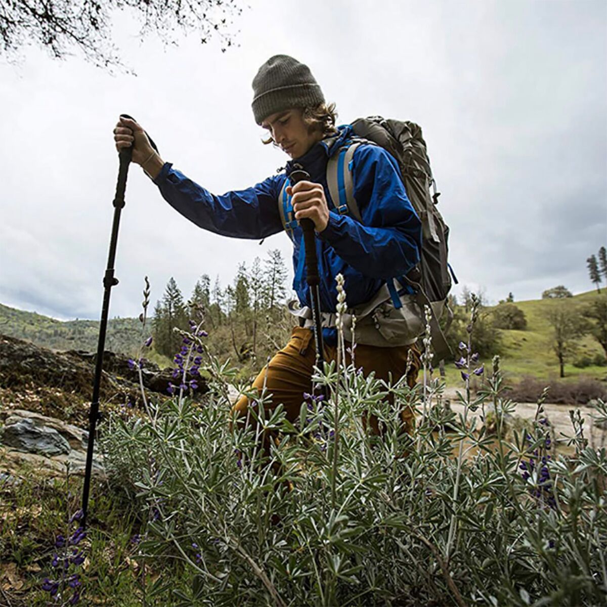 ALPS Mountaineering Momentum Trekking Poles - Hike & Camp