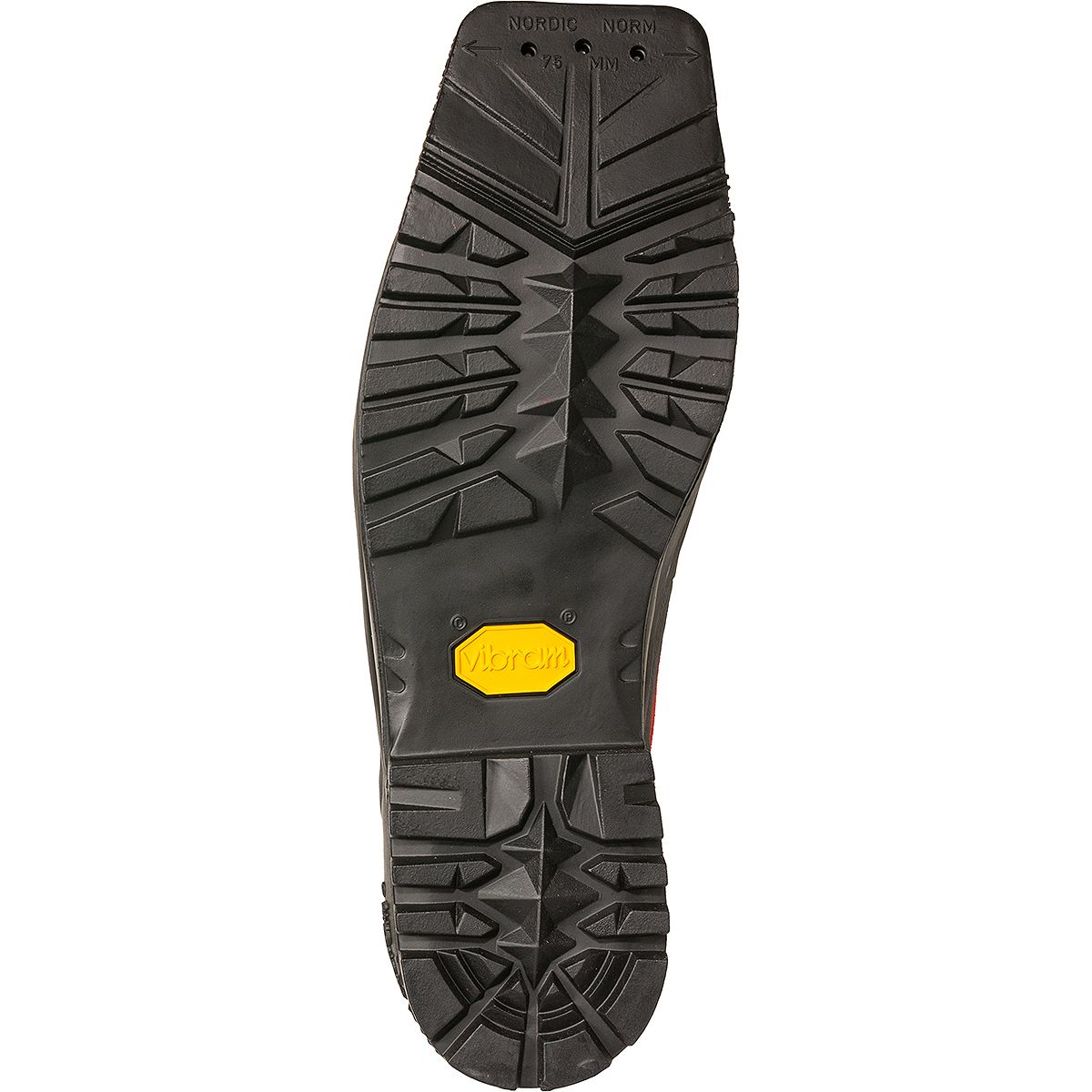 Alpina Alaska 75 Backcountry Boot - Ski