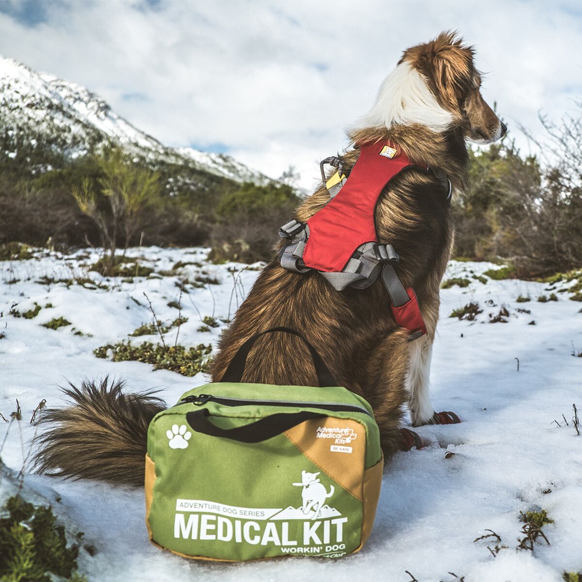 Adventure Medical Kits Adventure Dog Series Medical Kit - Hike & Camp