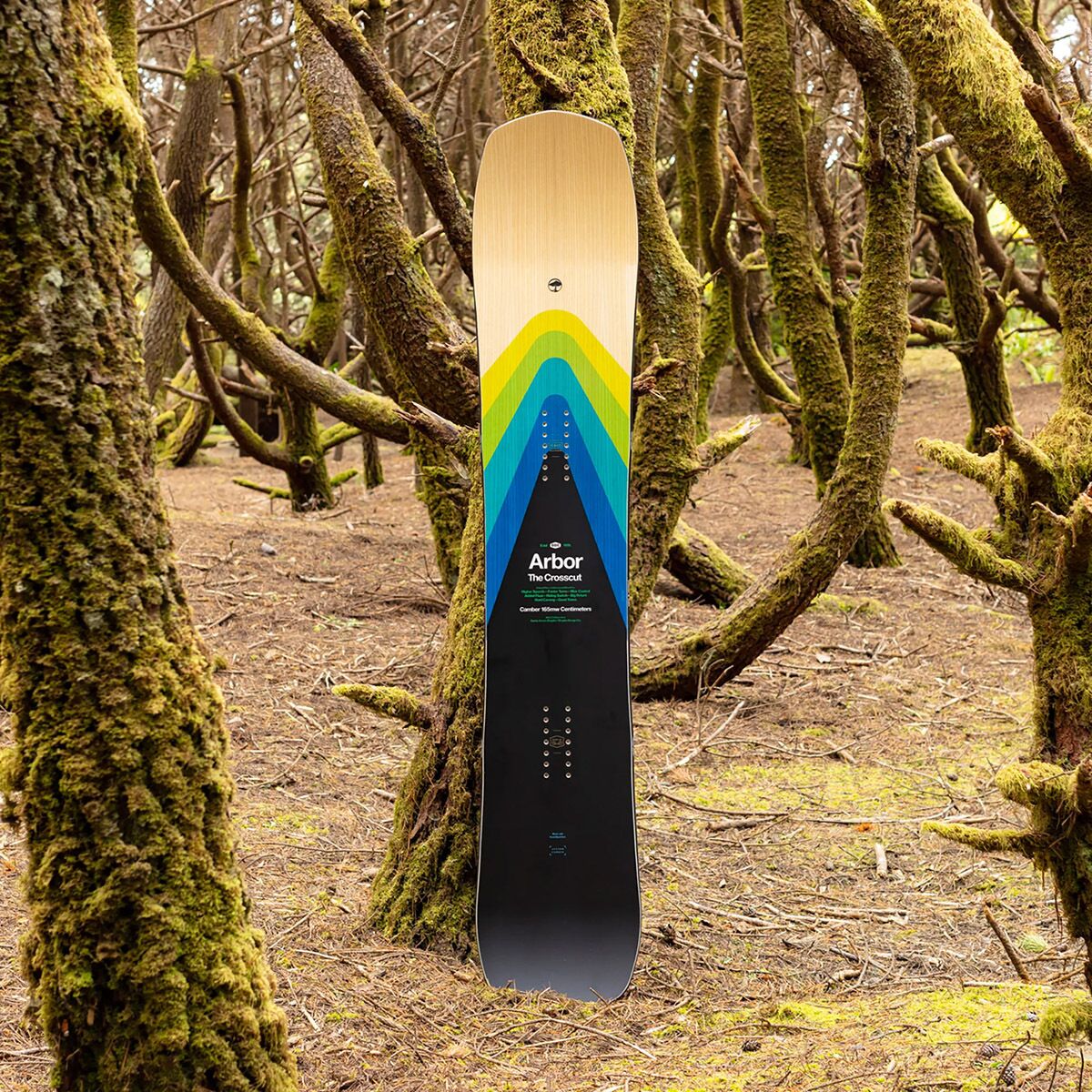 Arbor Crosscut Camber Men _ Arbor Crosscut Camber 2024 – YLEAV