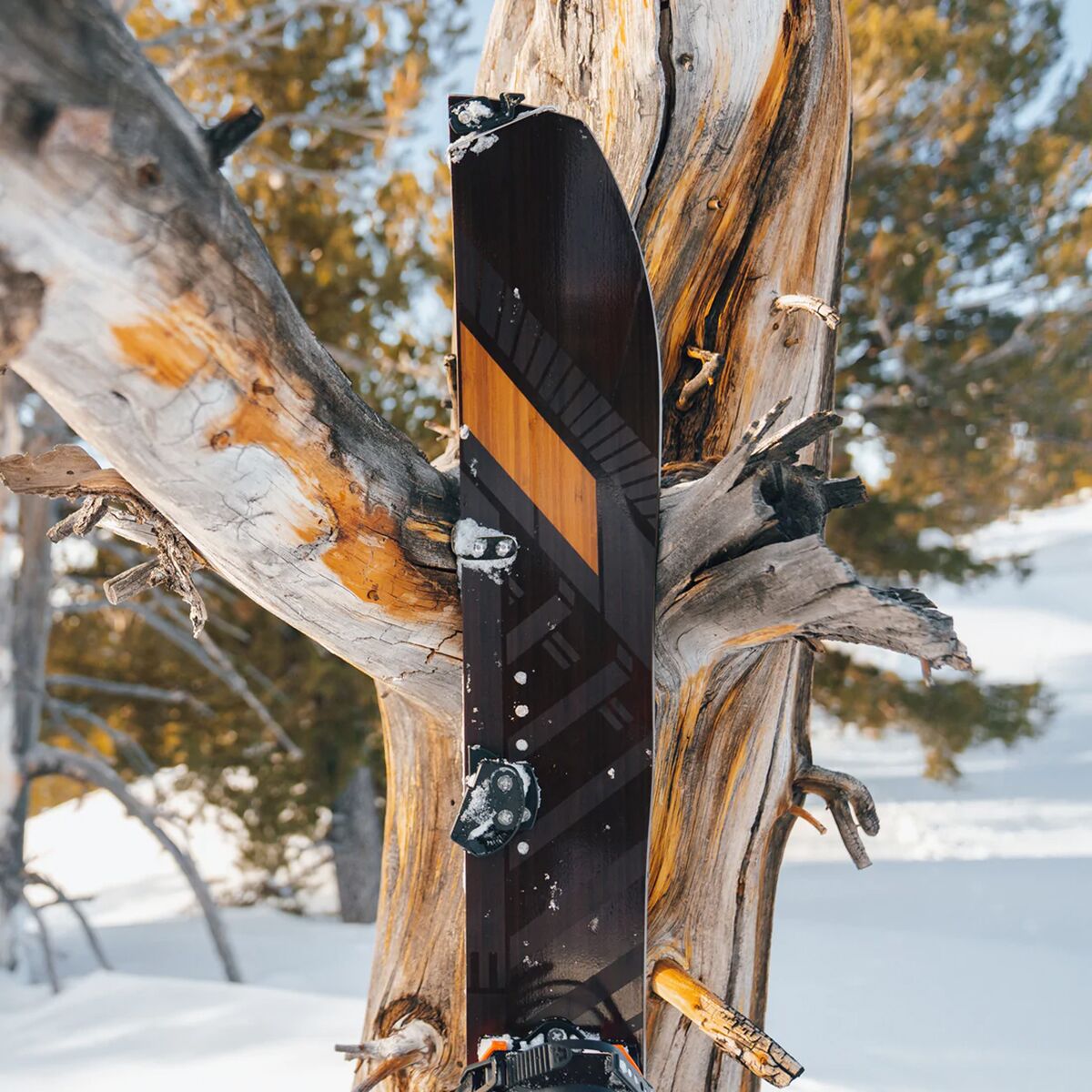 Arbor Satori Camber Splitboard - 2023 - Snowboard