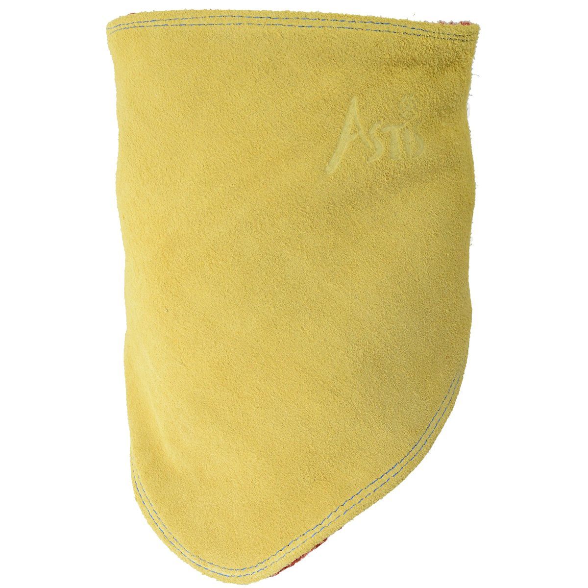 Astis Facemask | Backcountry.com