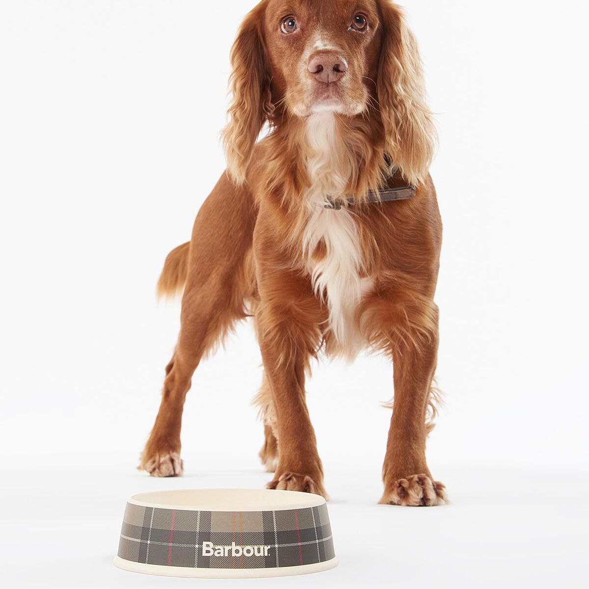 Barbour Tartan Dog Bowl - Hike & Camp