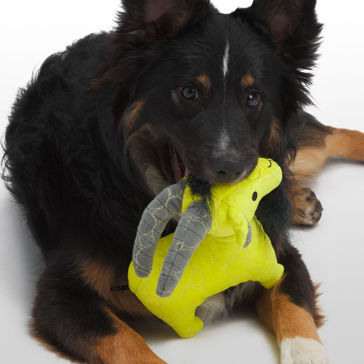 Backcountry x Petco The Goat Dog Toy - Hike & Camp