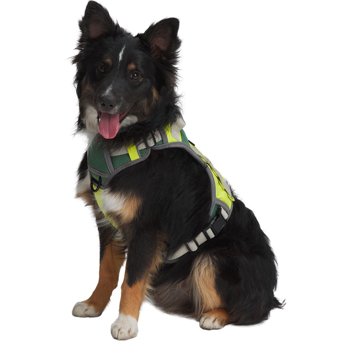 Backcountry x Petco The Modular Dog Harness - Hike & Camp