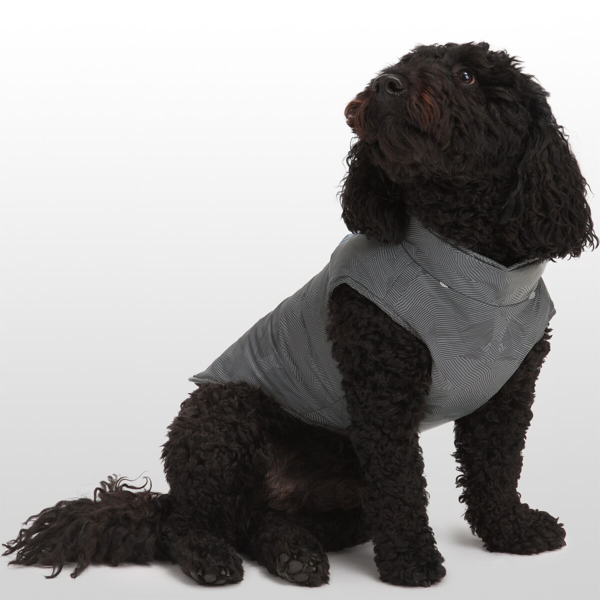 Backcountry x Petco The 2-in-1 Harness Jacket - Hike & Camp