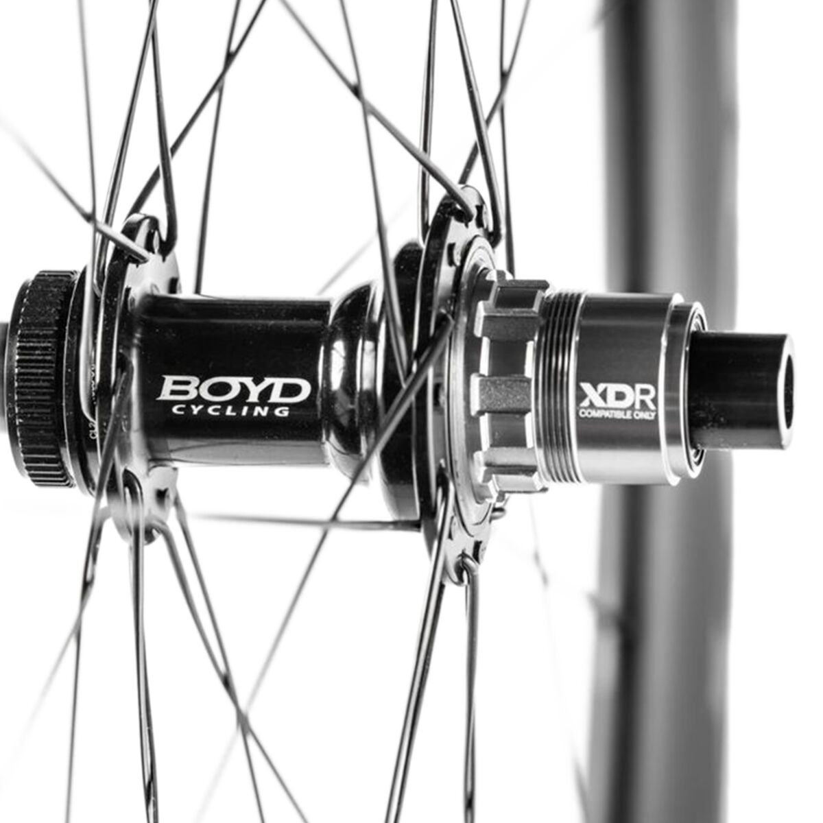 Boyd Cycling Podium 36 Carbon Disc Wheel - Tubeless - Bike