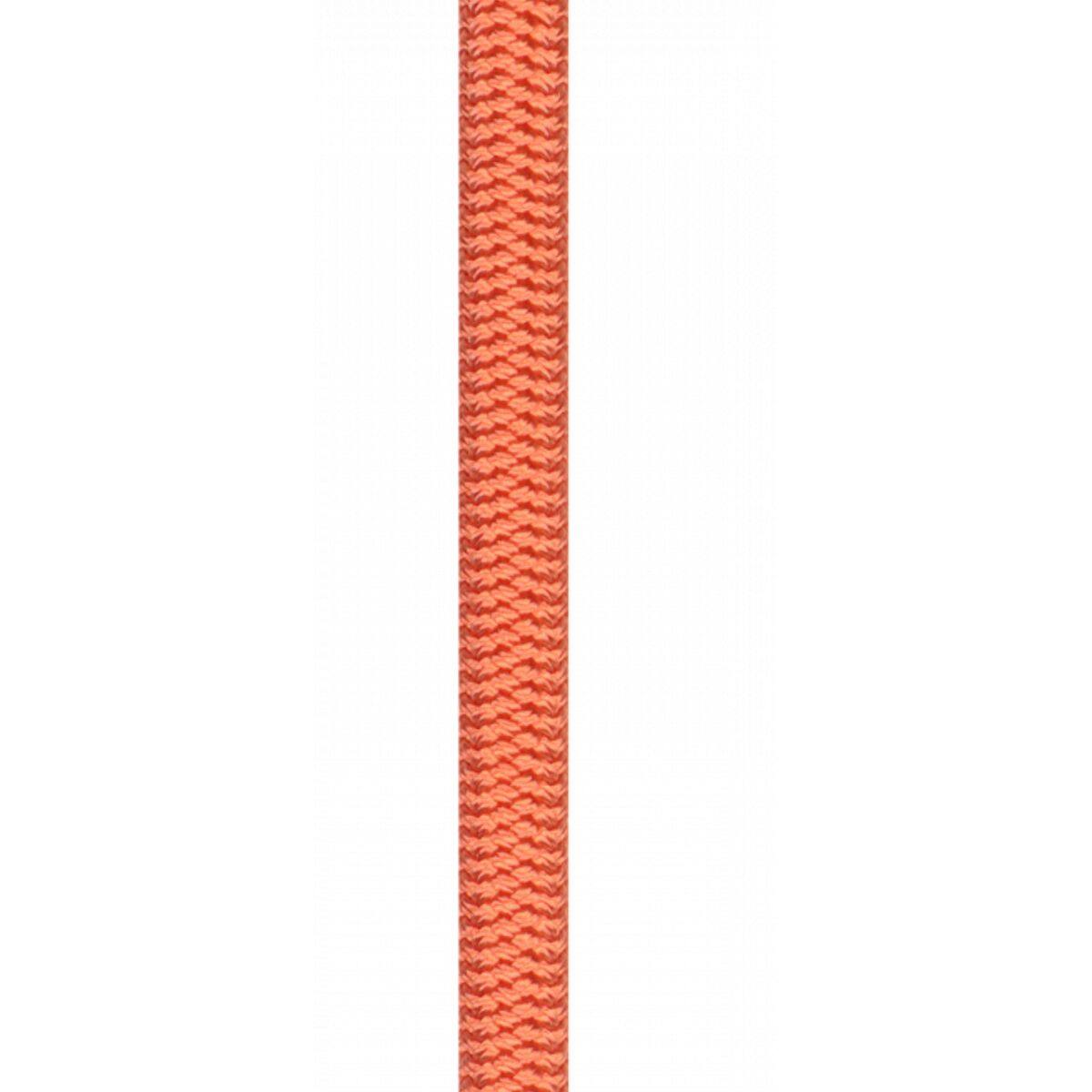 Beal Wall Master Unicore Standard Climbing Rope - 10.5mm - Climb