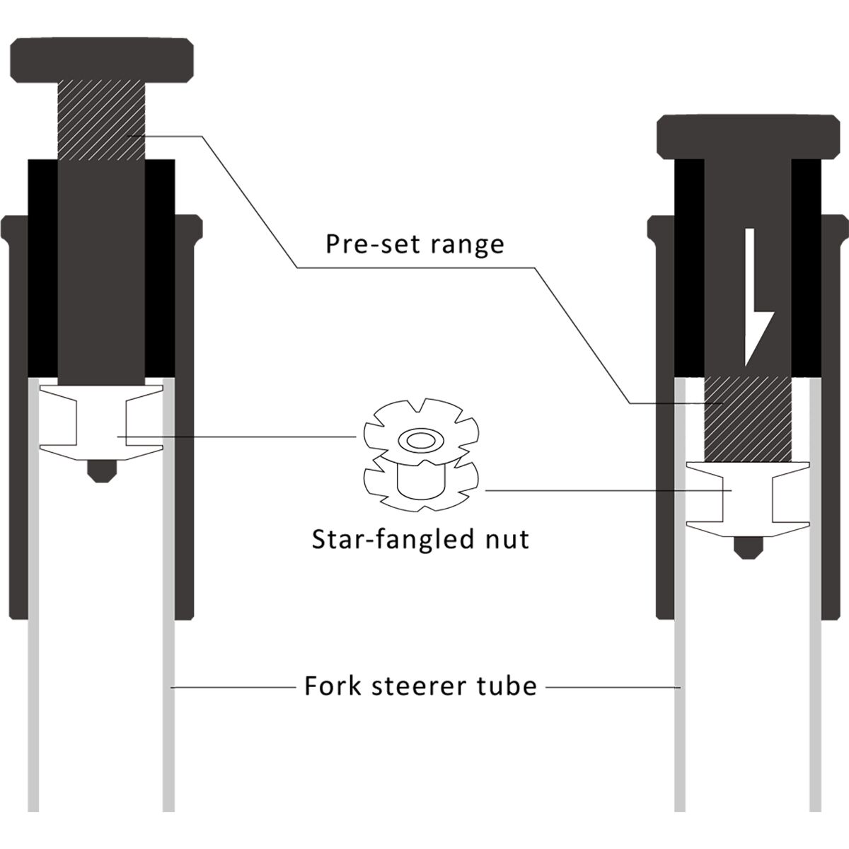 Birzman Threadless Nut Setting Tool - Bike