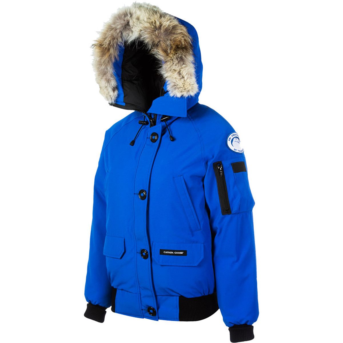 Canada Goose Polar Bears International Chilliwack Down Bomber Jacket ...