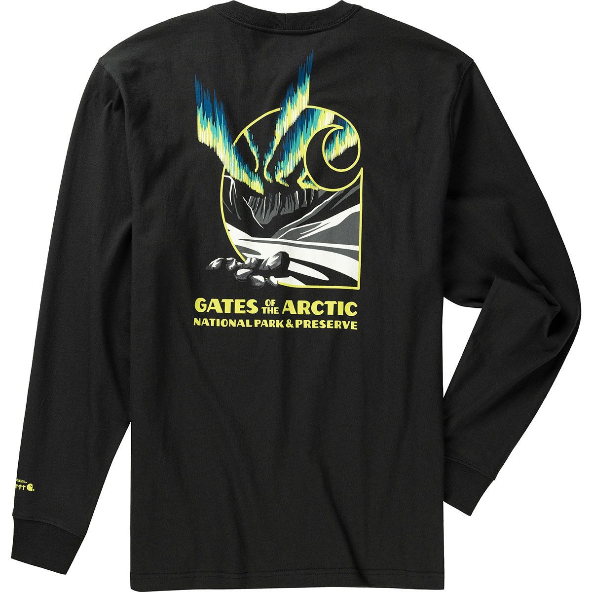 Carhartt LooseFit HW Gates of the Arctic NP Graphic T-Shirt - Men's ...