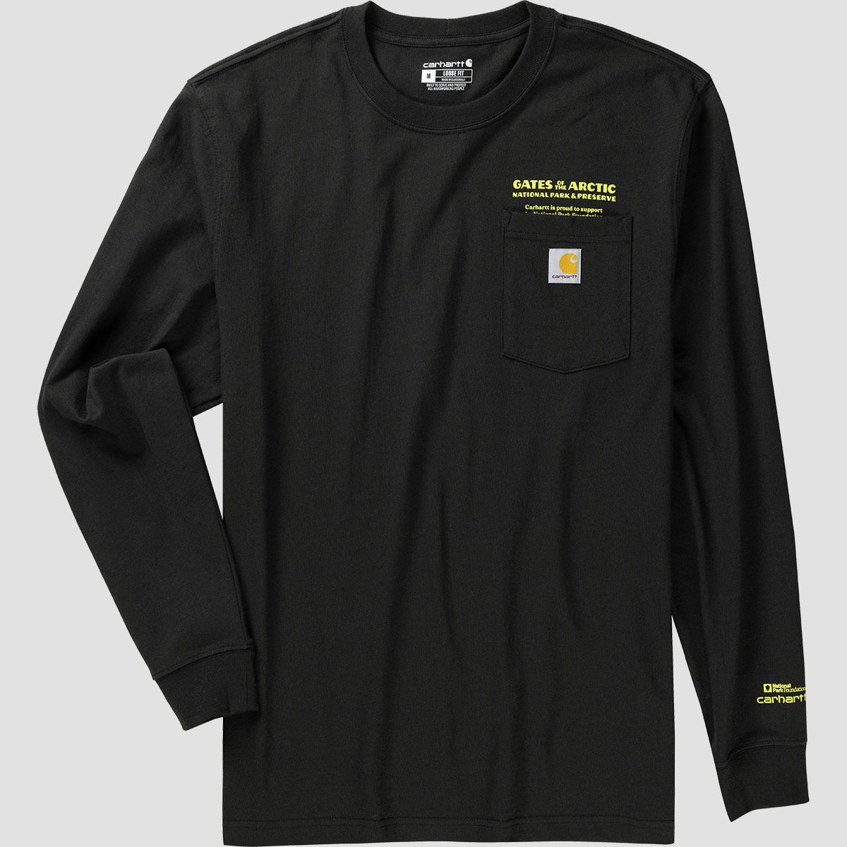 Carhartt LooseFit HW Gates of the Arctic NP Graphic T-Shirt - Men's ...