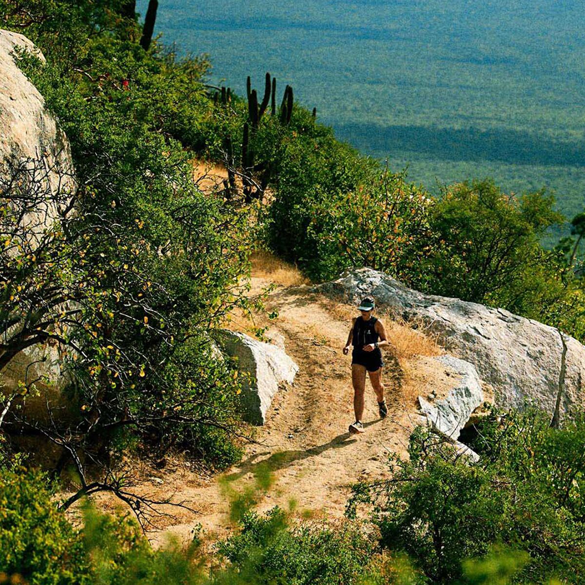 Ciele Athletics Dual SC FSTVisor - Accessories