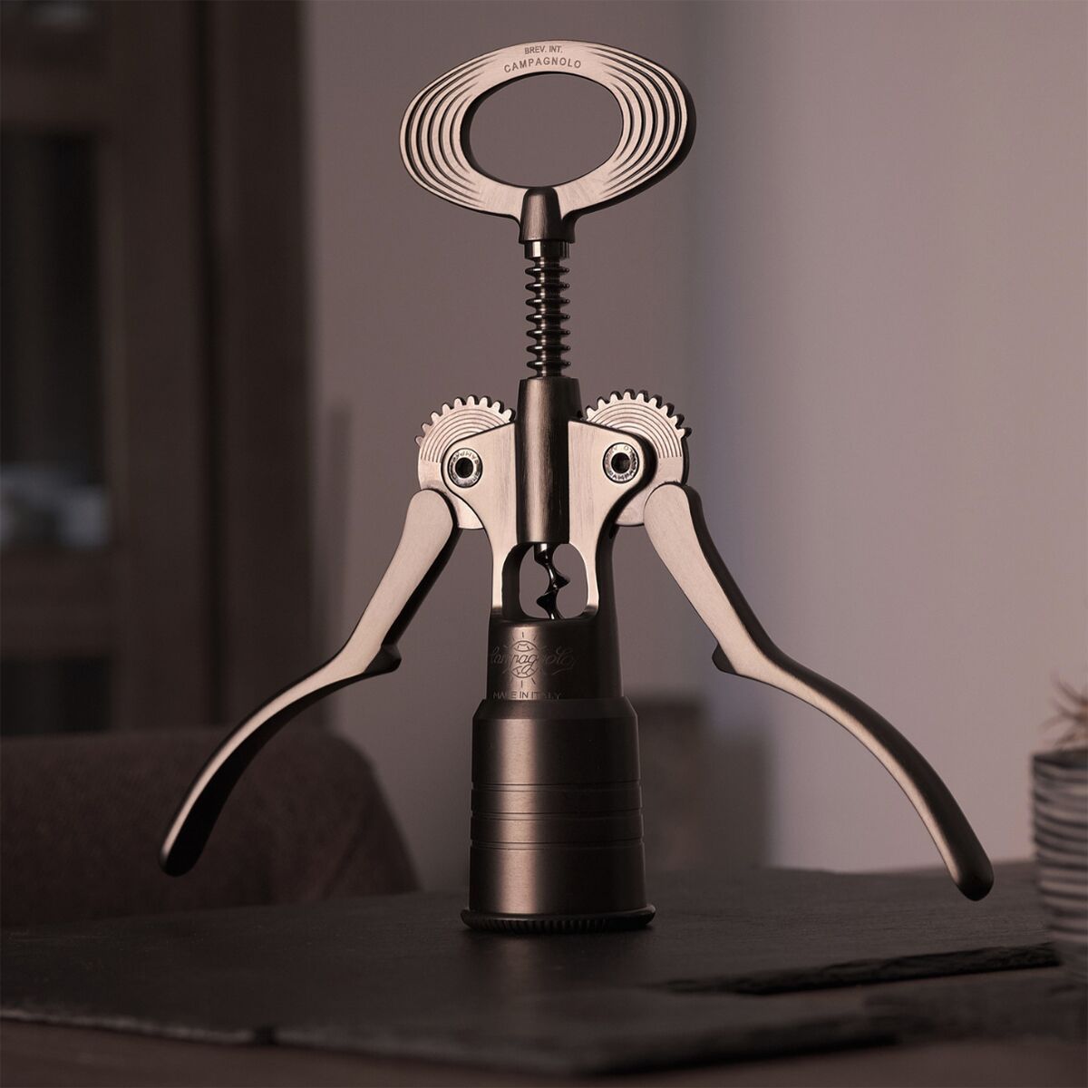 Campagnolo BIG Corkscrew - Bike