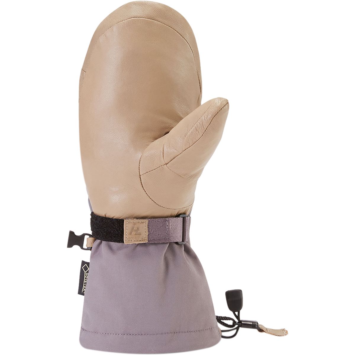 DAKINE Gore-Tex Continental Mitten - Women's - Accessories