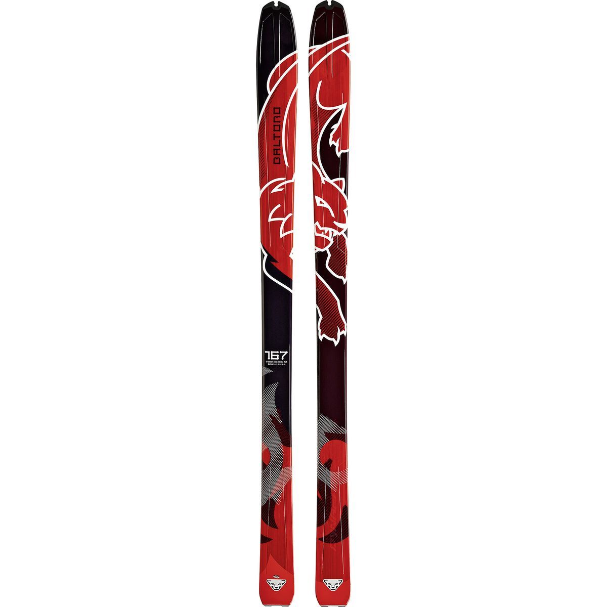 Dynafit Baltoro Ski - Ski