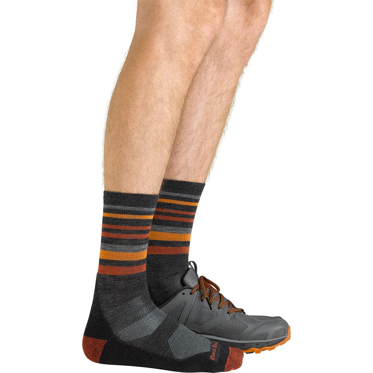 Darn Tough Fastpack Micro Crew Lightweight + Cushion Sock - Accessories