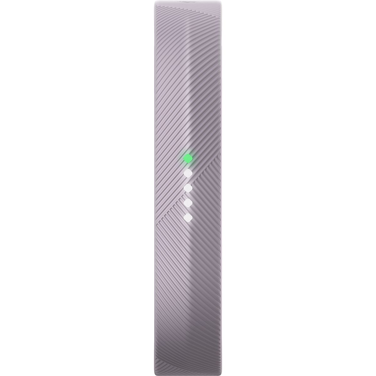 Fitbit Flex 2 Fitness Wristband - Accessories