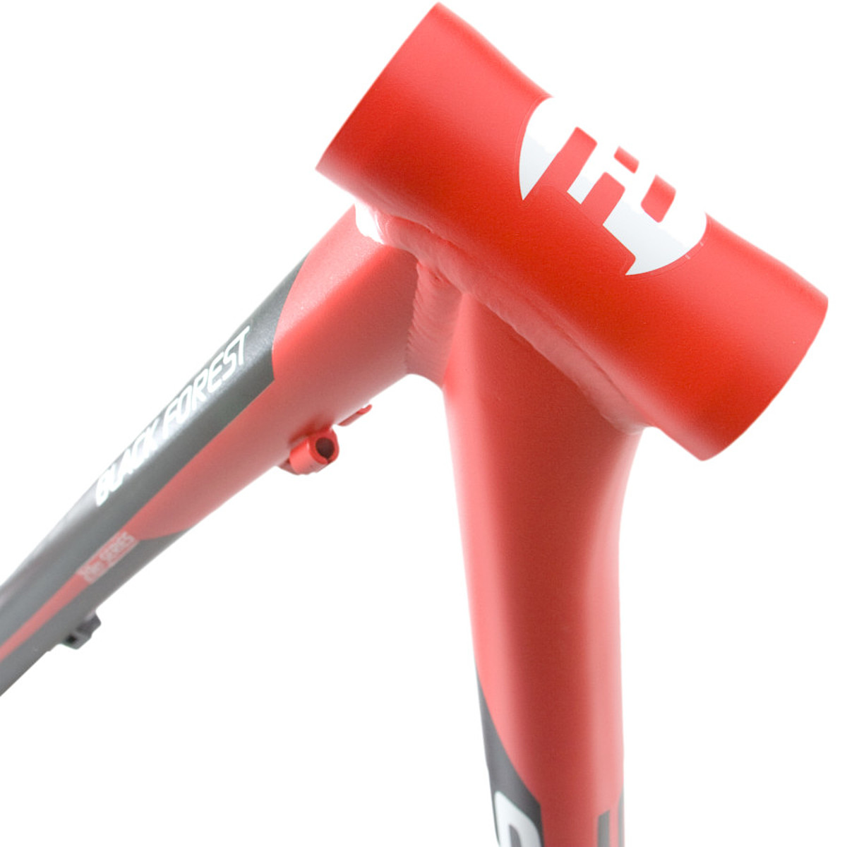 Focus Black Forest 29er Frameset - Bike