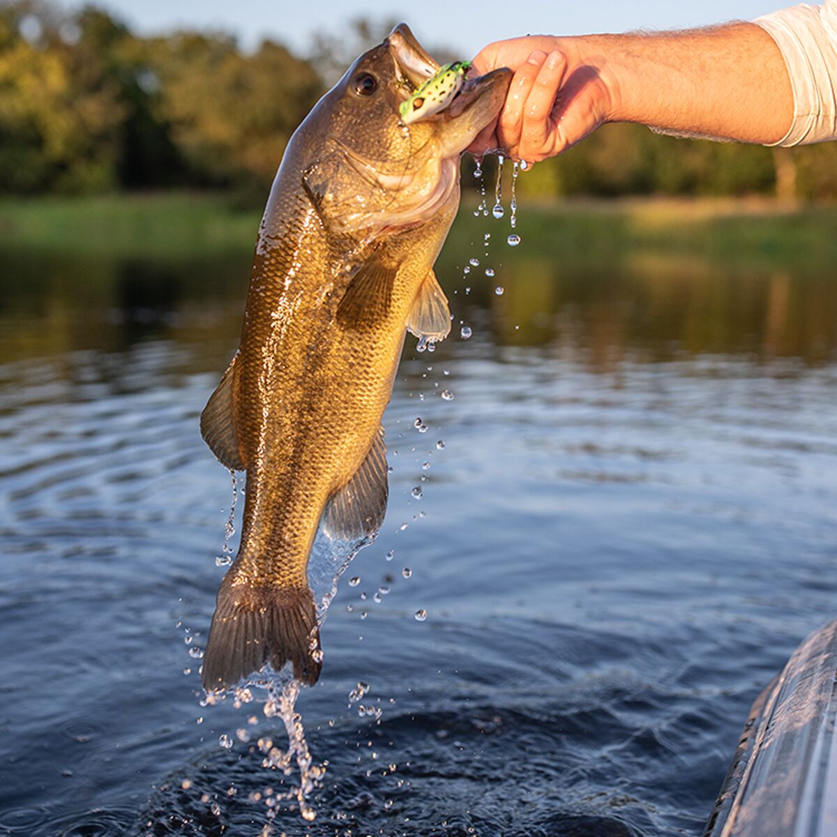 Googan Squad Filthy Frog Lure - Fishing