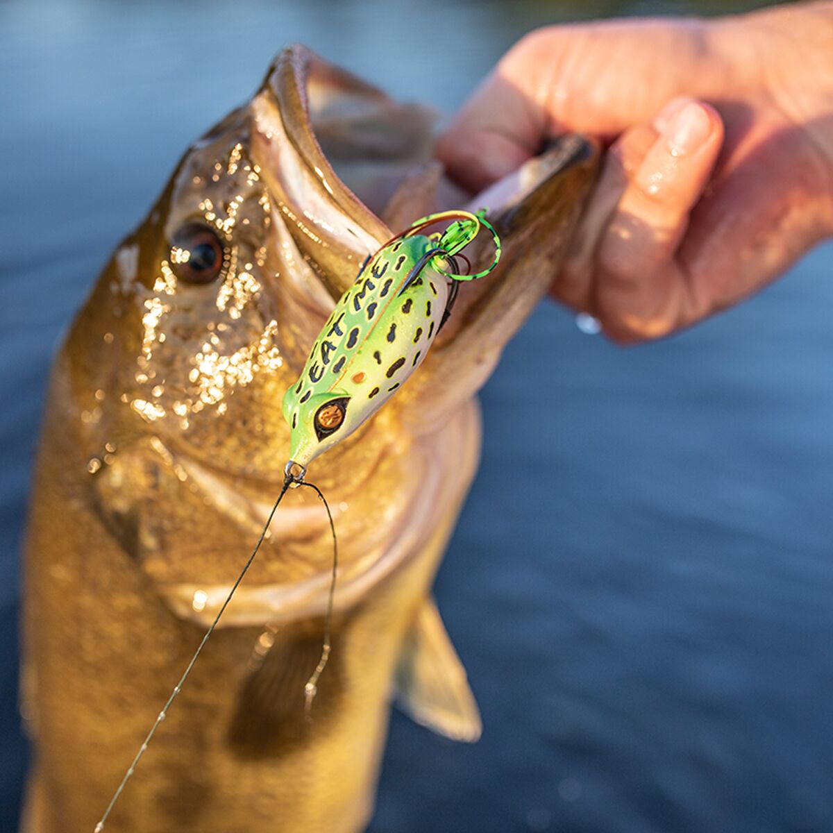 Googan Squad Filthy Frog Lure - Fishing