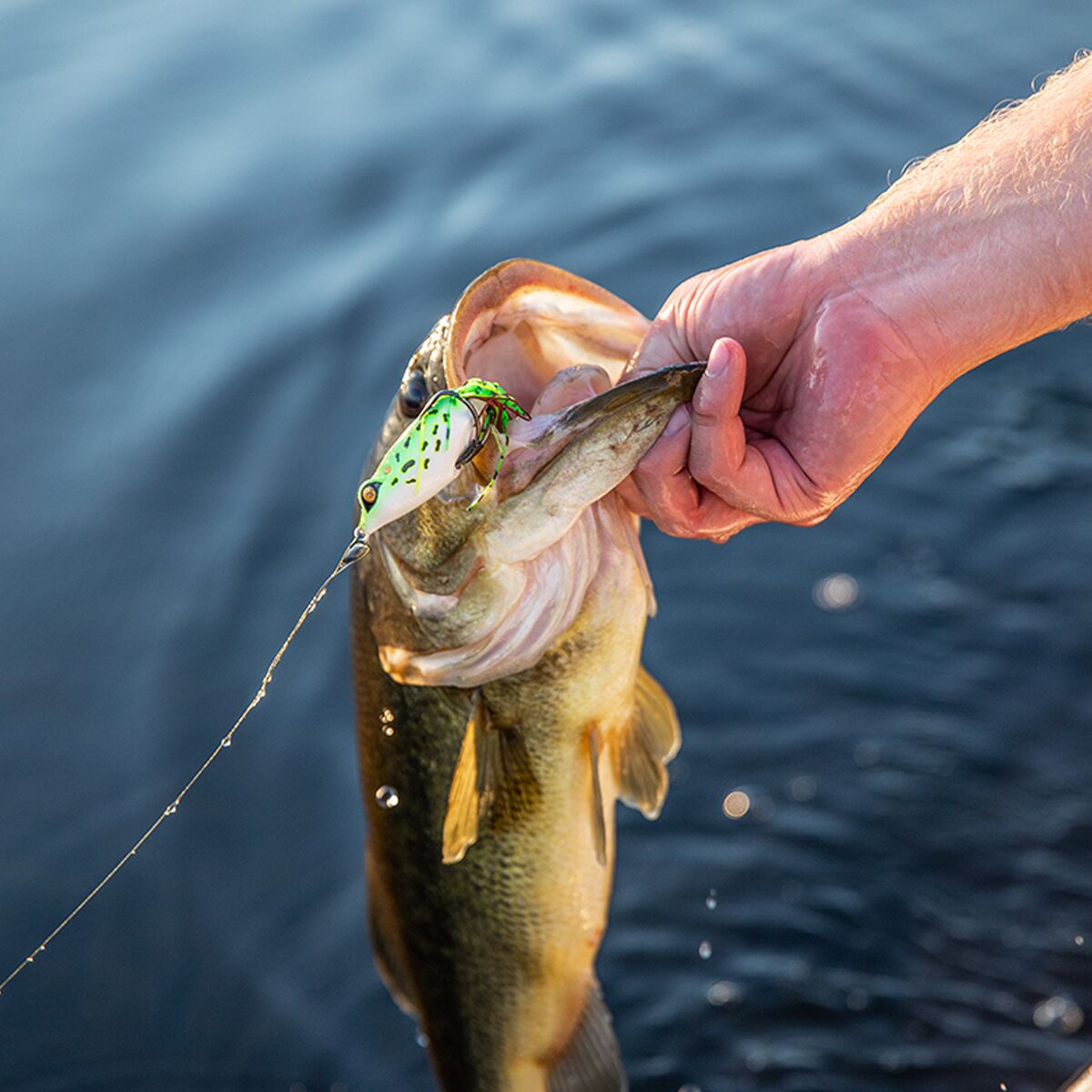 Googan Squad Filthy Frog Lure - Fishing