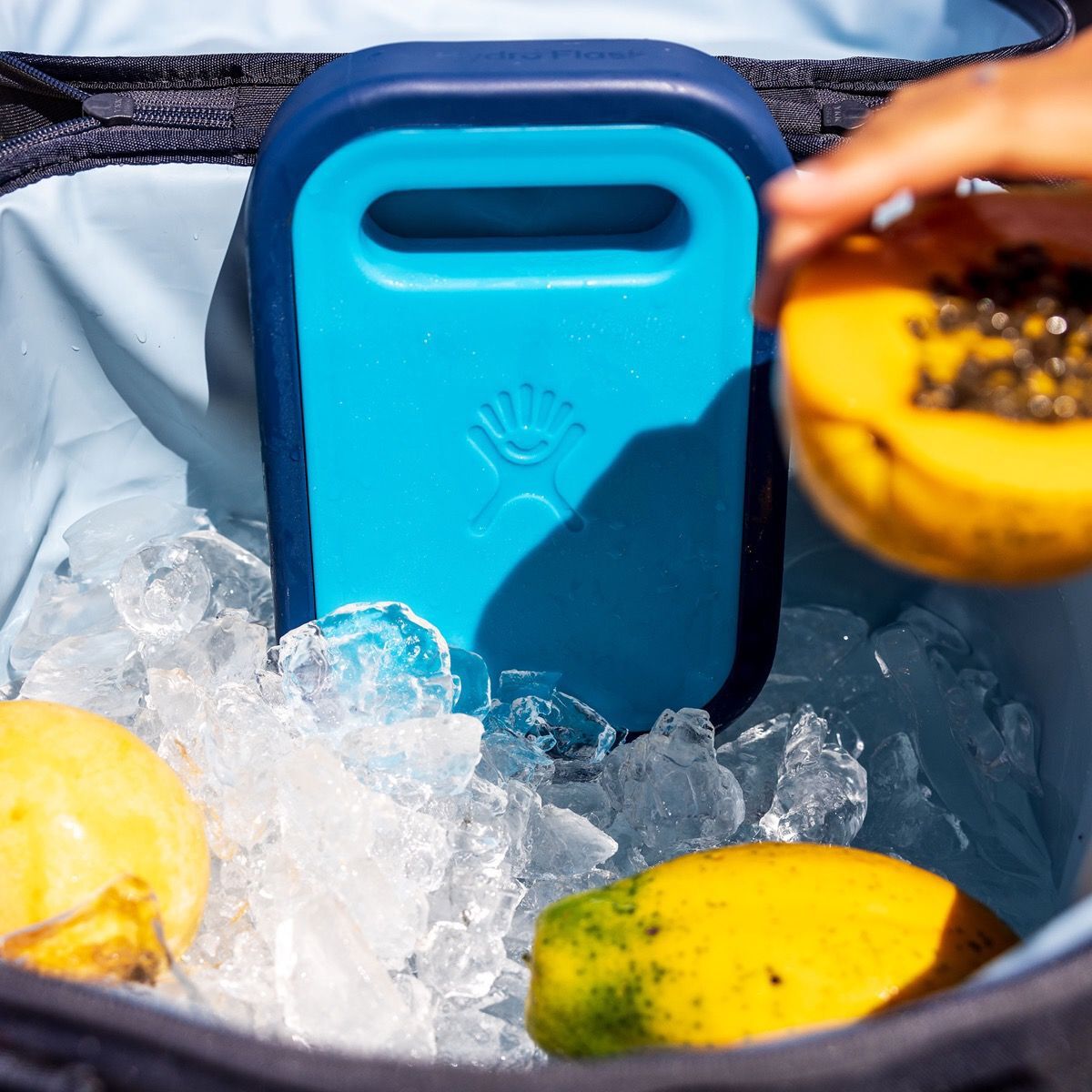 Hydro Flask Unbound Series Ice Pack - Hike & Camp