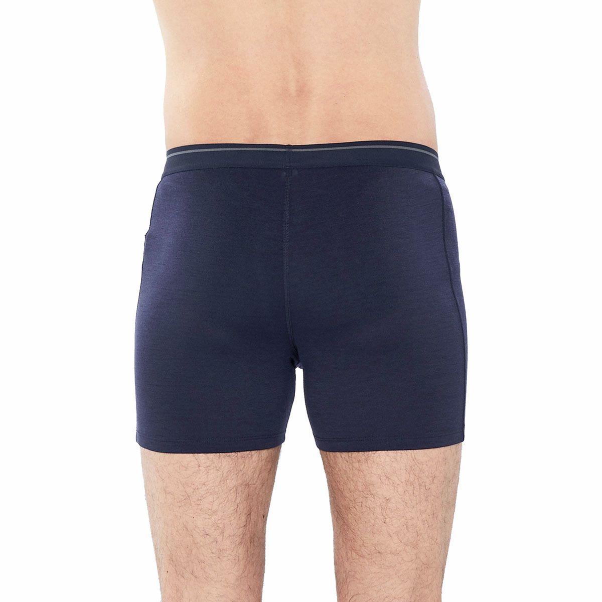 Icebreaker Anatomica Boxer + Fly - Men's - Clothing