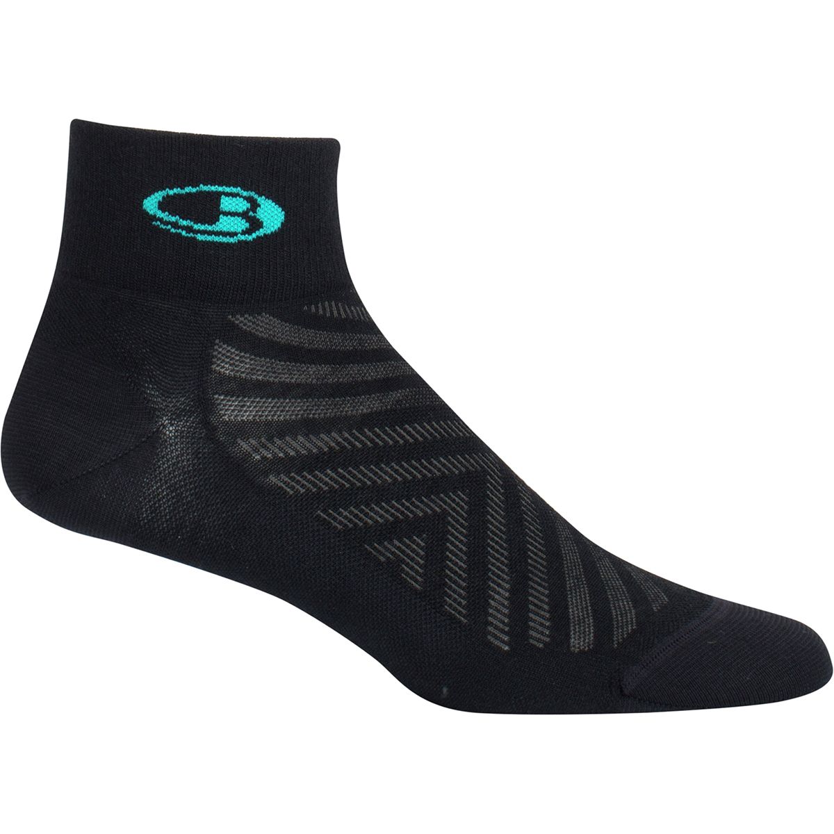 Icebreaker Run+ Mini Ultralite Cushion Sock - Women's - Accessories