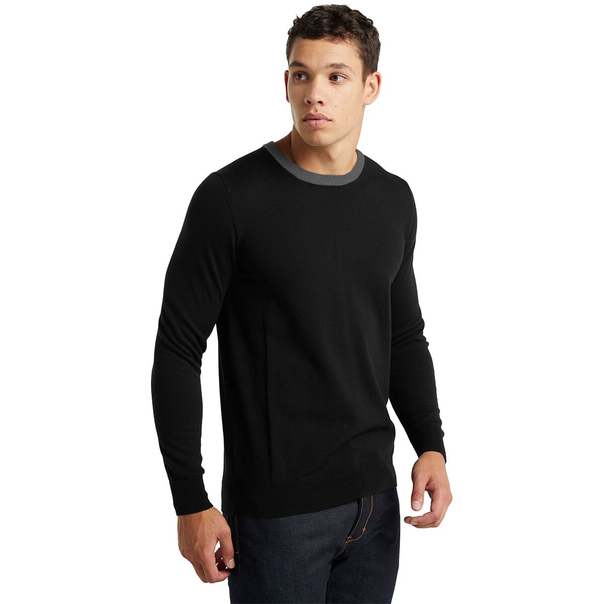 Icebreaker Shearer Crew Sweater - Men's