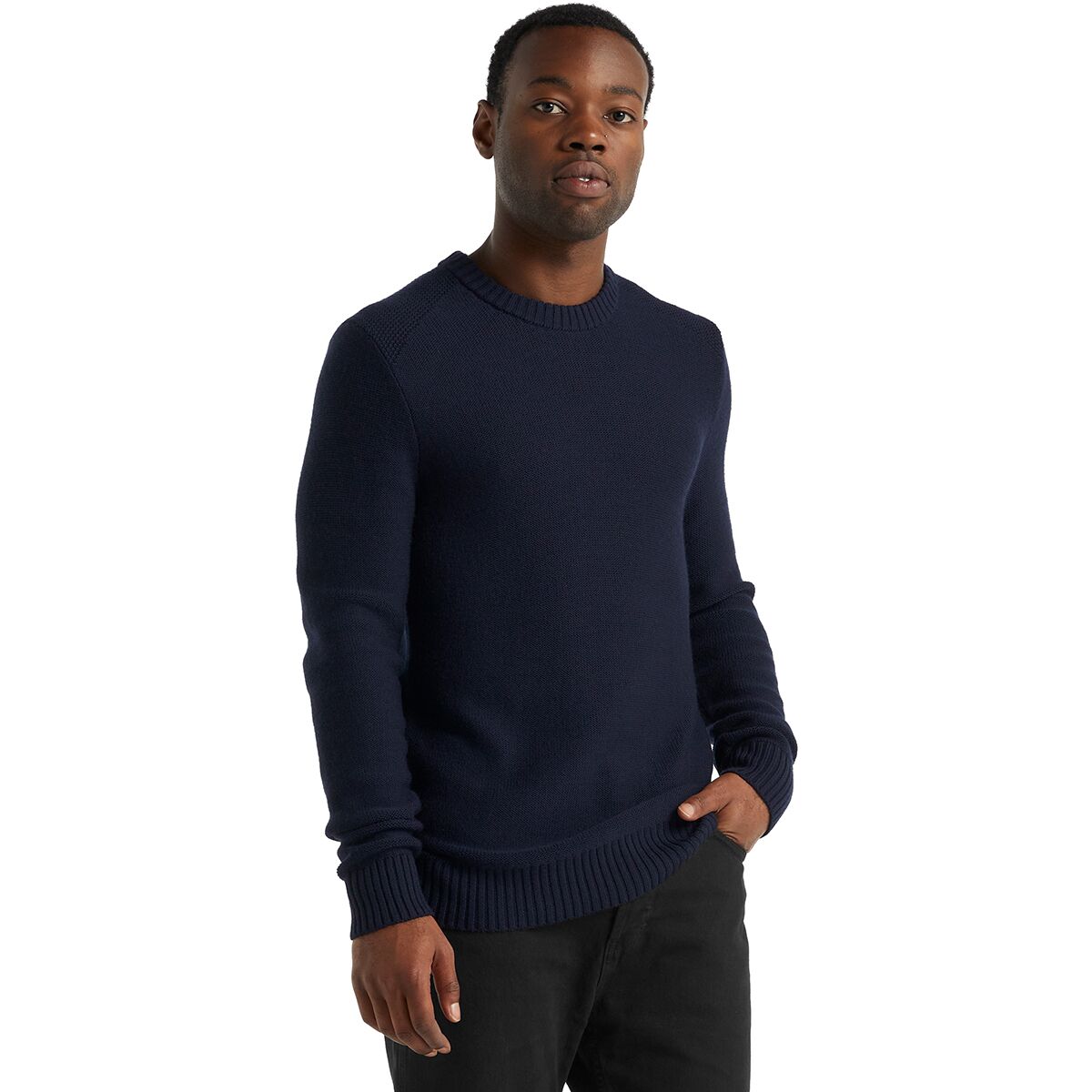 Icebreaker Waypoint Crew Sweater - Men's - Clothing