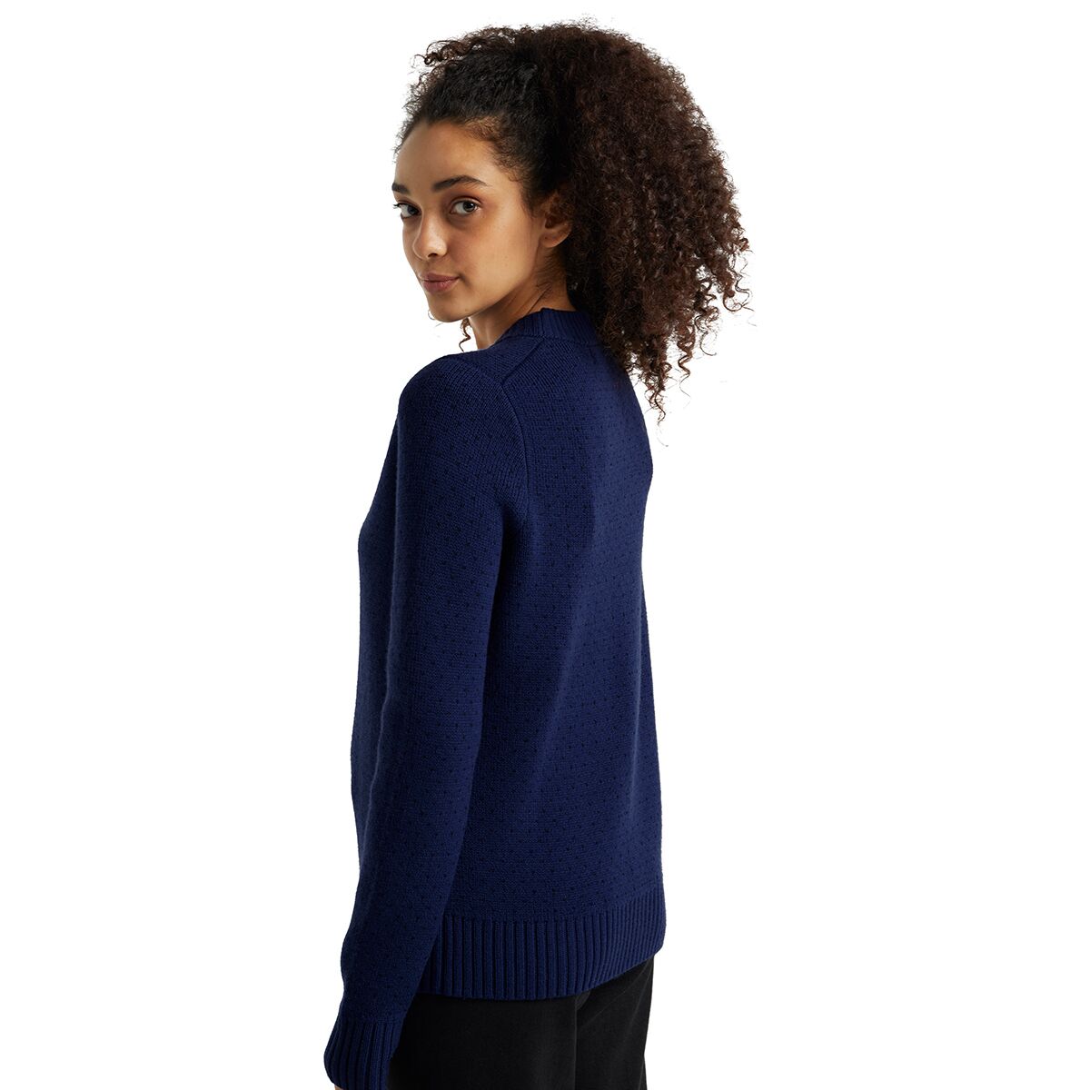 Icebreaker Waypoint Crewe Sweater - Women's - Clothing
