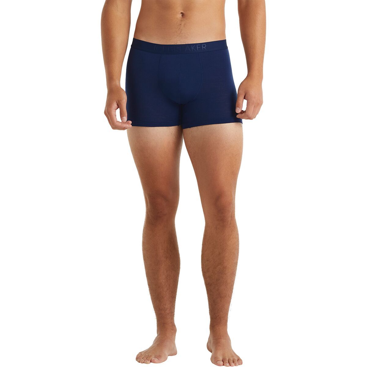 Icebreaker Anatomica Cool-Lite Boxer - Men's | Backcountry.com