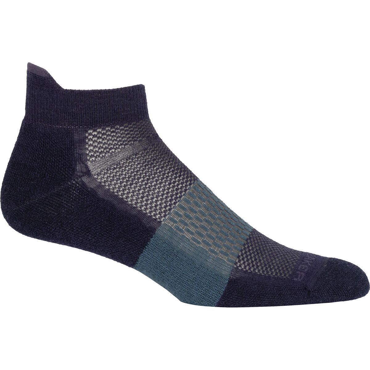 Icebreaker Multisport Light Micro Sock | Backcountry.com