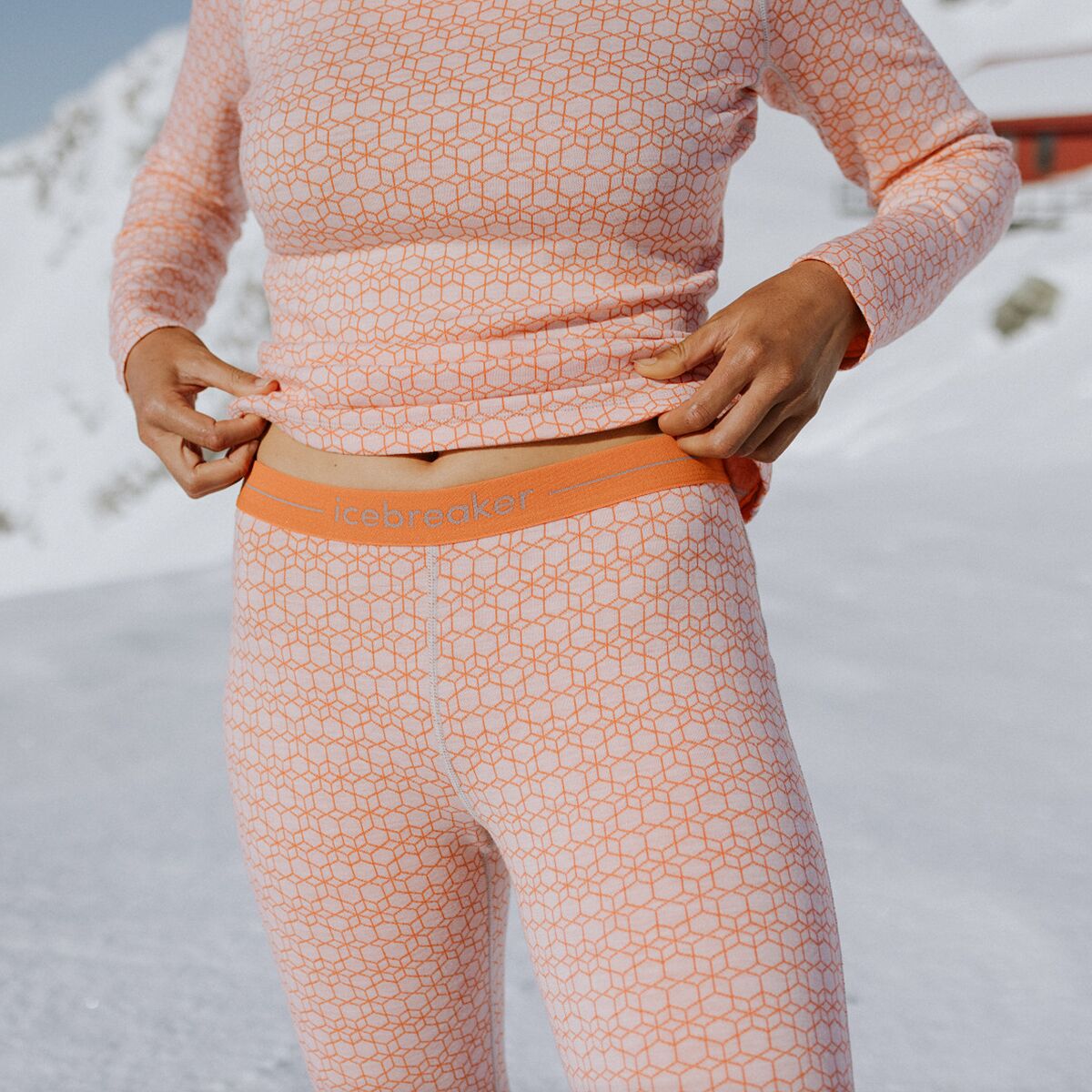 Icebreaker 250 Vertex Alpine Geo Legging - Women's - Clothing