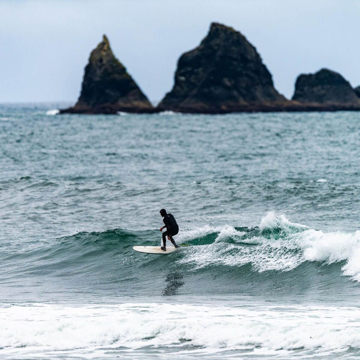 Lib Technologies Pickup Stick Board - Surf