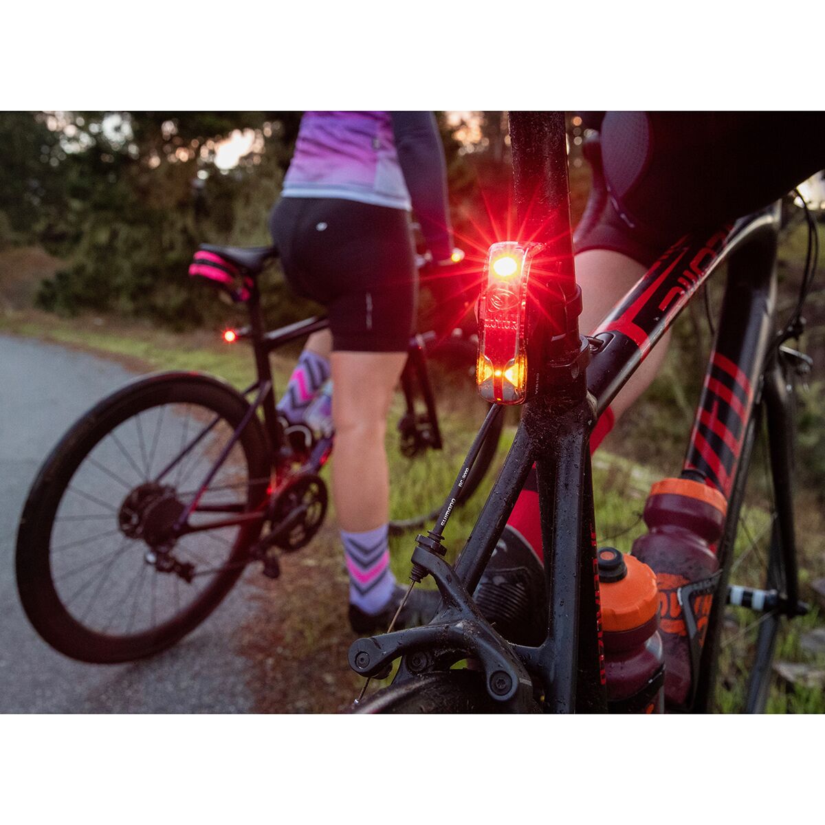 Light & Motion Vis 180 Pro Rear Light - Bike