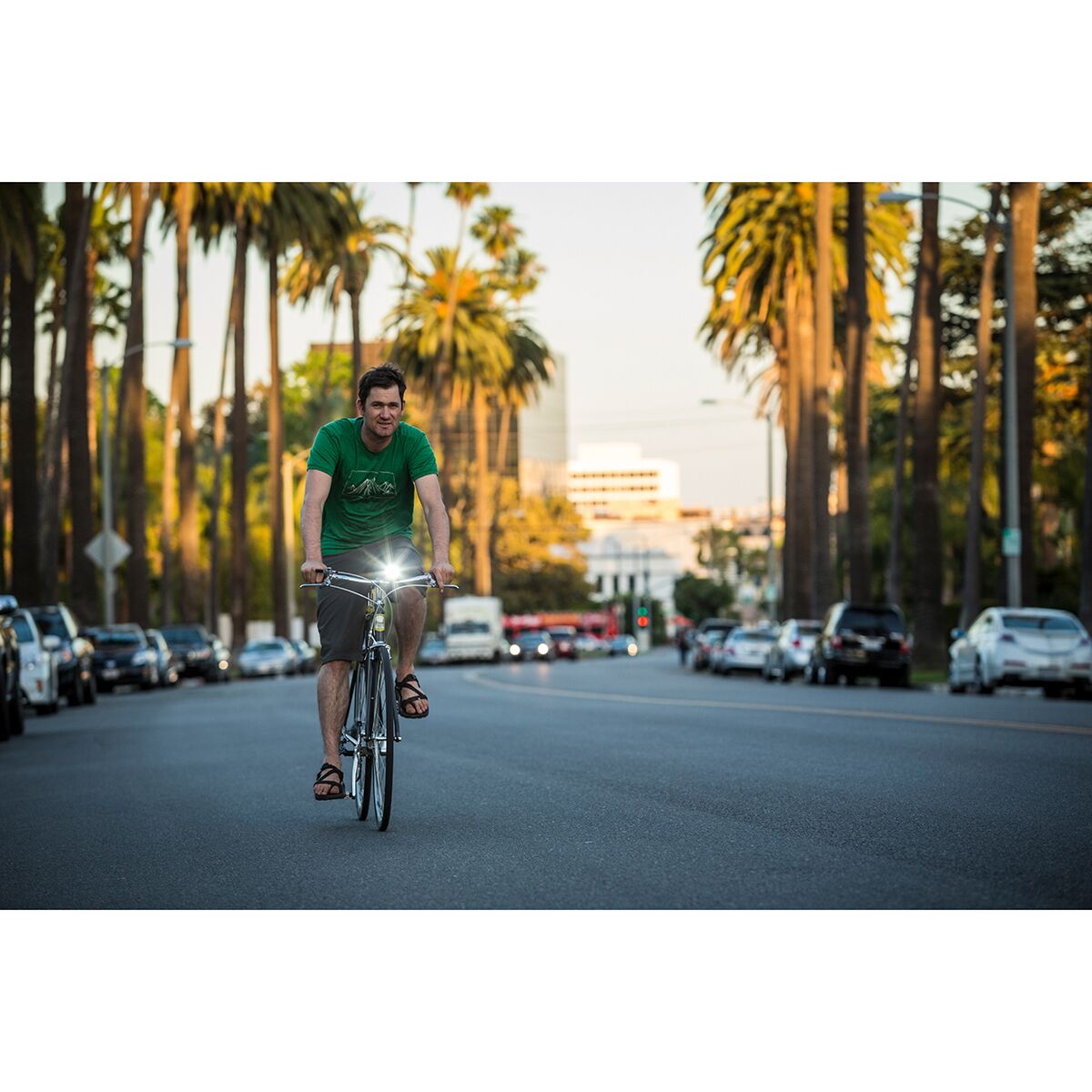 Light & Motion Vis 500 Headlight - Bike