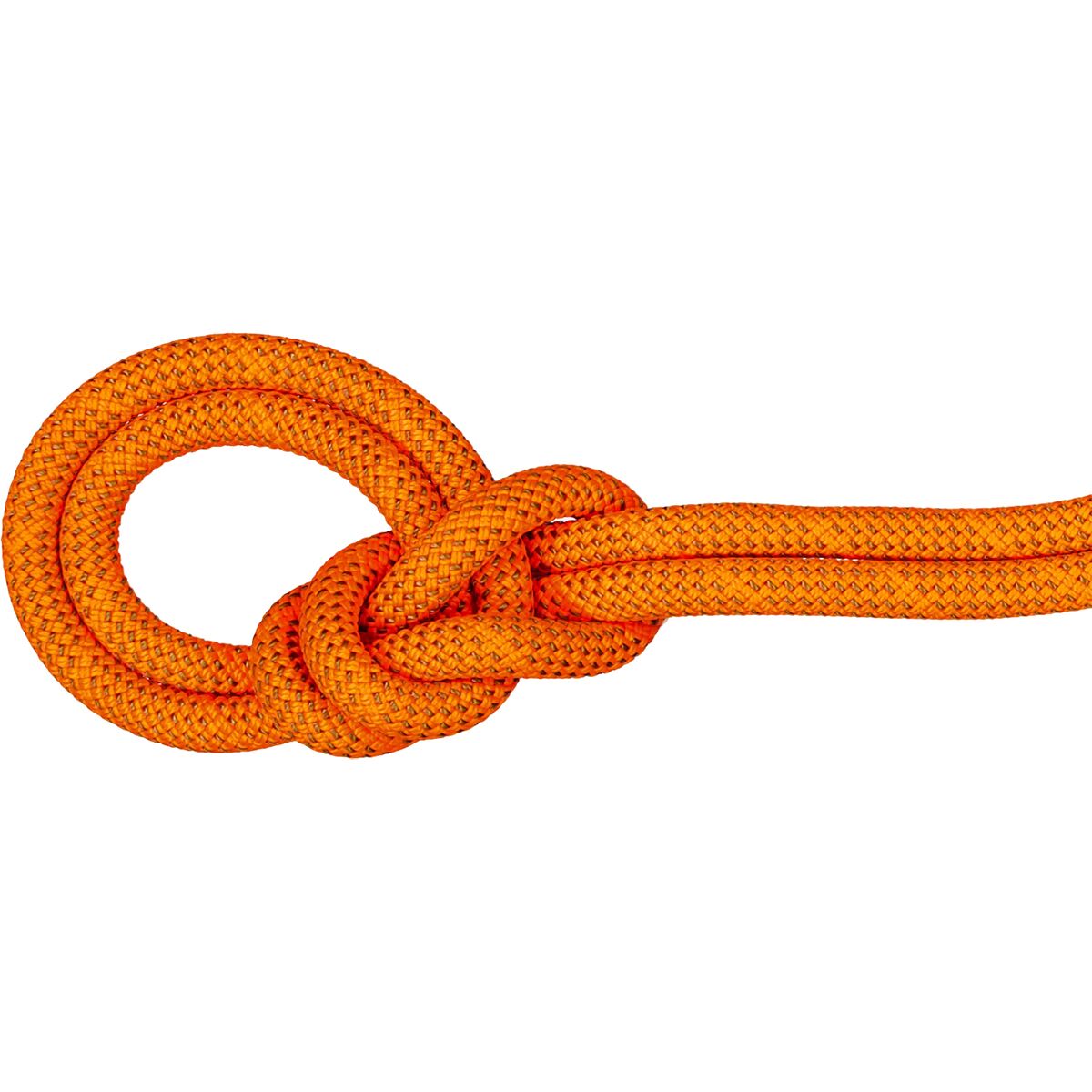 Mammut Crag Dry Rope - 9.8mm - Climb