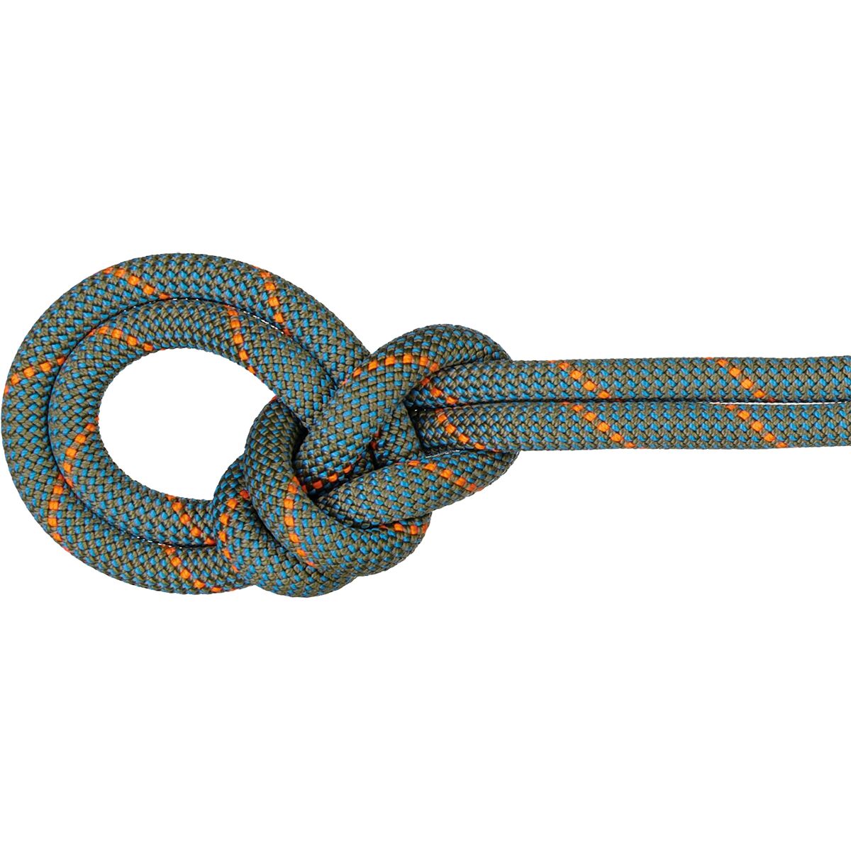 Mammut Crag Workhorse Dry Rope - 9.9mm - Climb