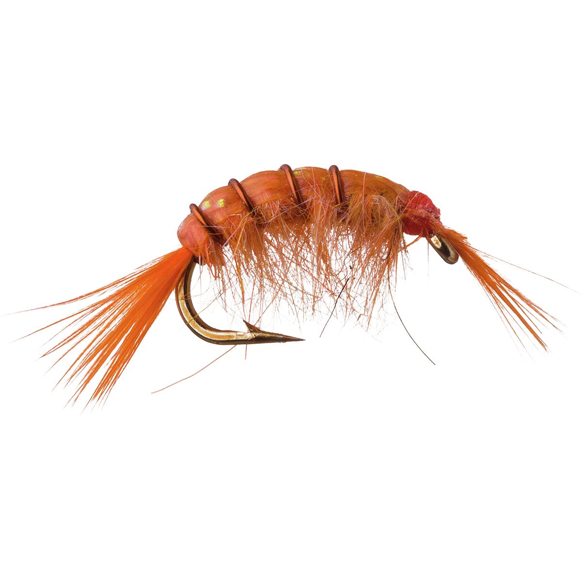 Montana Fly Company Scud - 12-Pack - Fishing