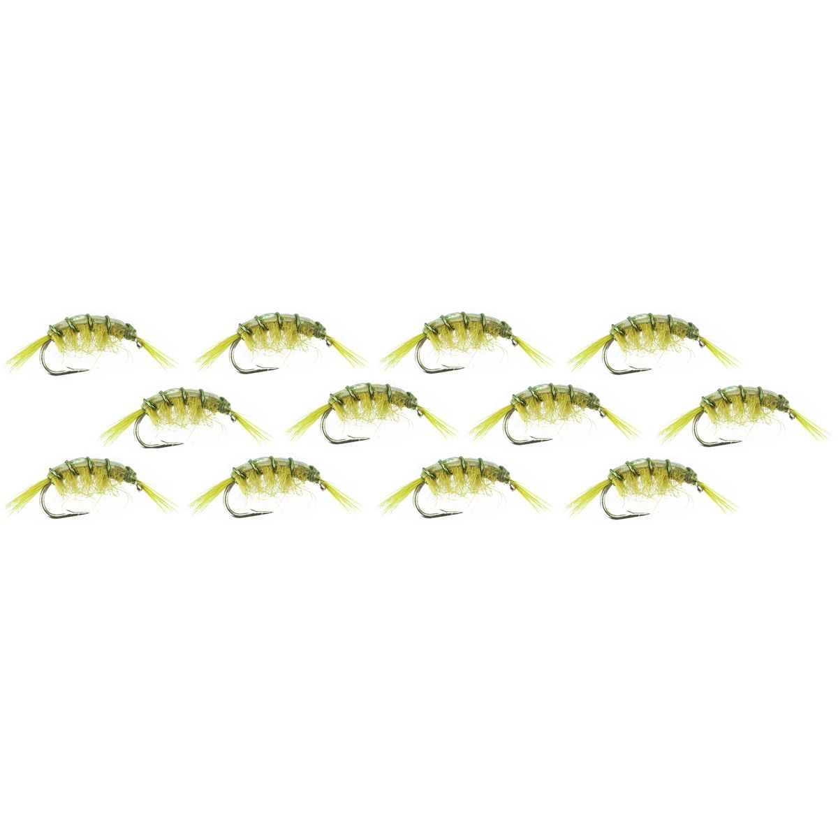 Montana Fly Company Scud - 12-Pack - Fishing
