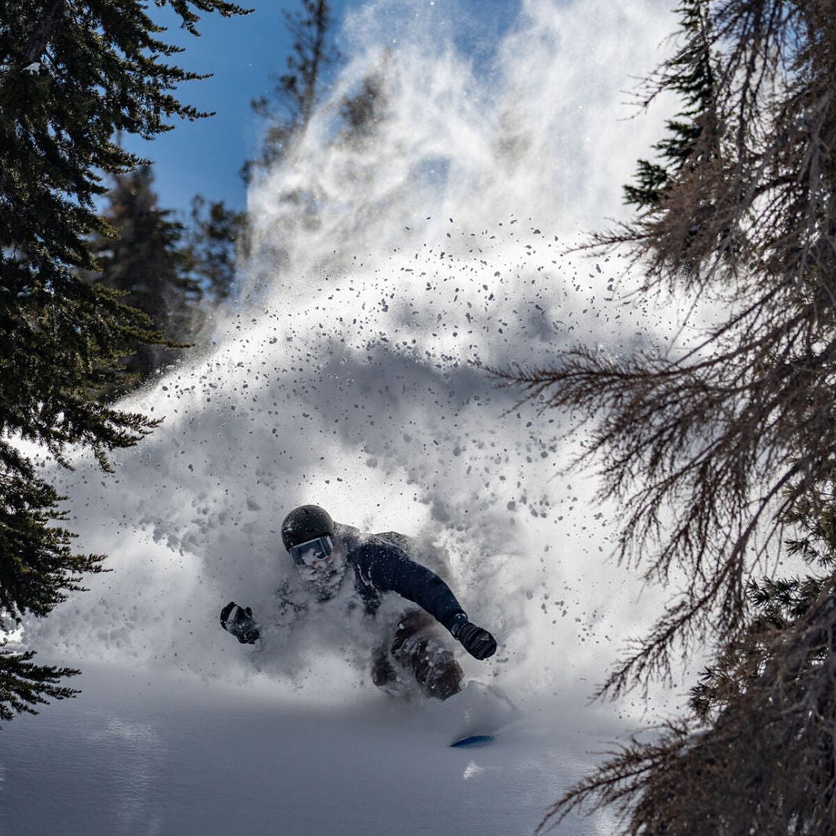 Never Summer Proto Ultra Snowboard - 2023 - Snowboard