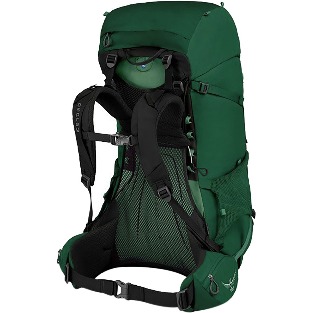 Osprey Packs Rook 65L Backpack | Backcountry.com