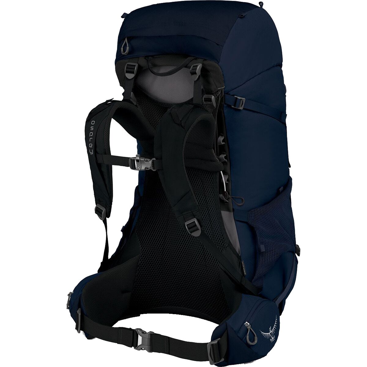 Osprey Packs Rook 65L Backpack | Backcountry.com