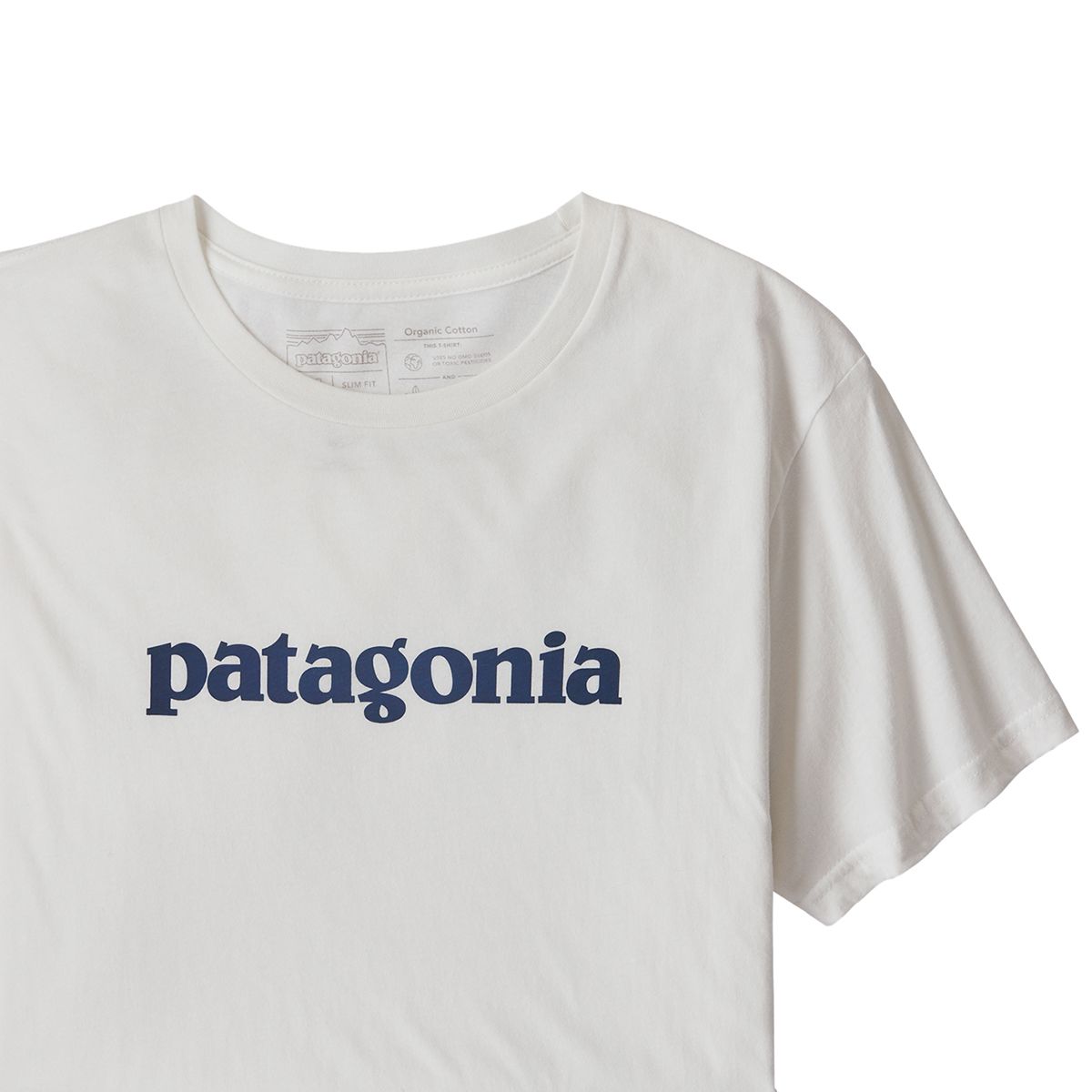 Patagonia Text Logo Organic T-Shirt - Men's | Backcountry.com