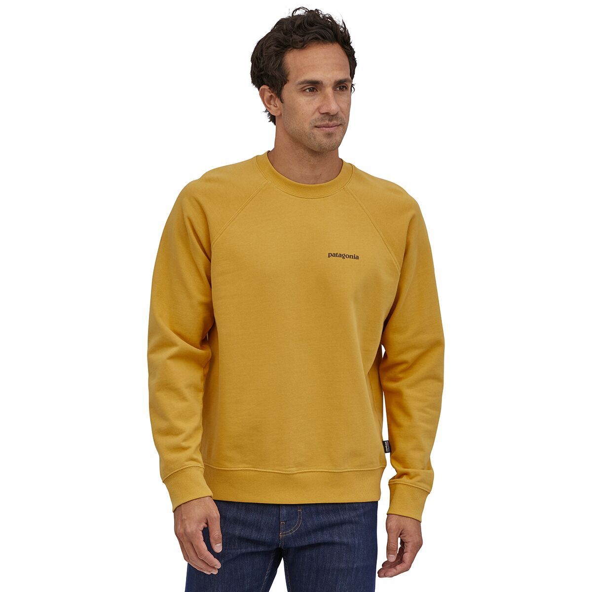 Patagonia Line Logo Ridge Organic Crew Sweatshirt - Men's - Clothing