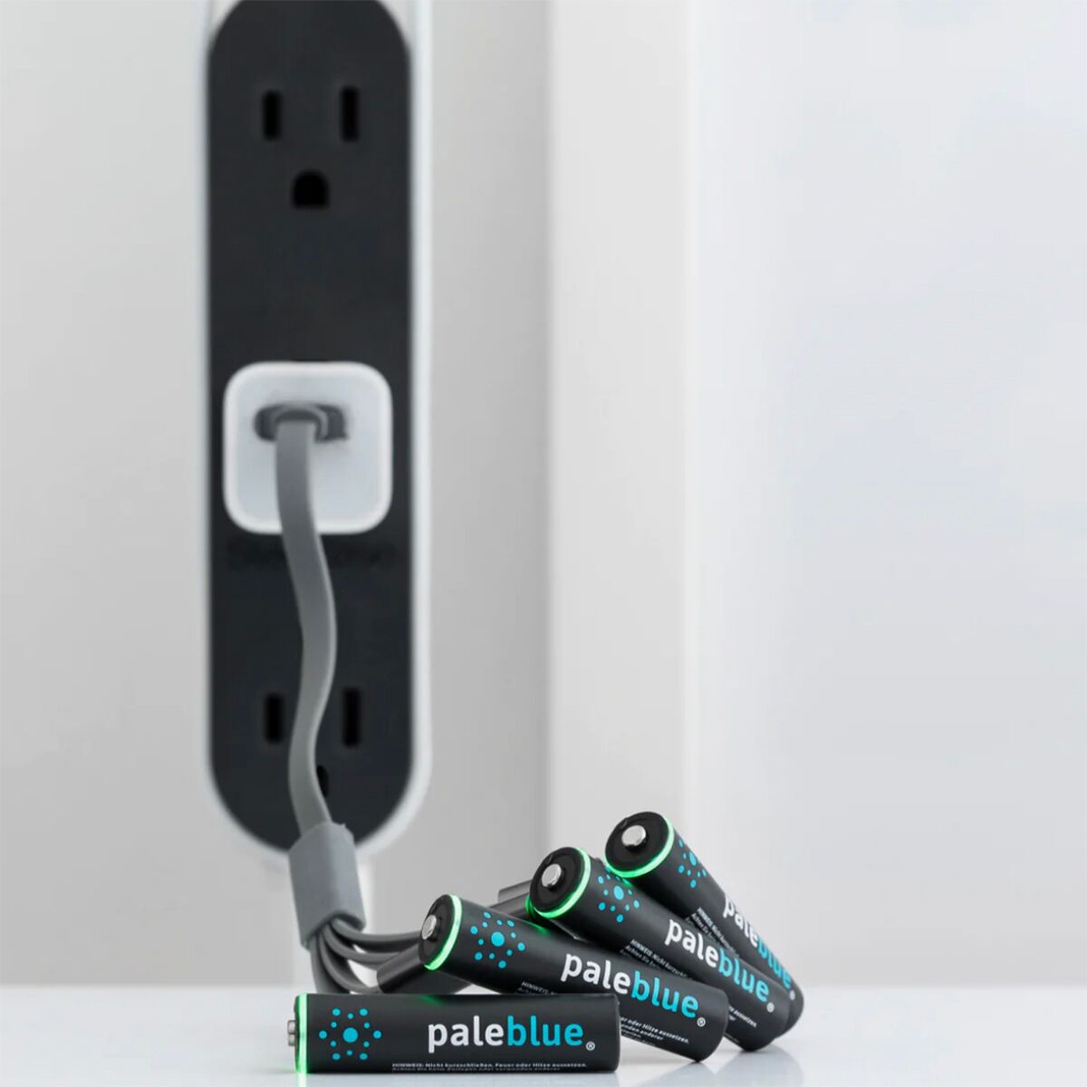 Pale Blue Earth Lithium Ion Rechargeable AAA Battery - 4-Pack - Hike & Camp