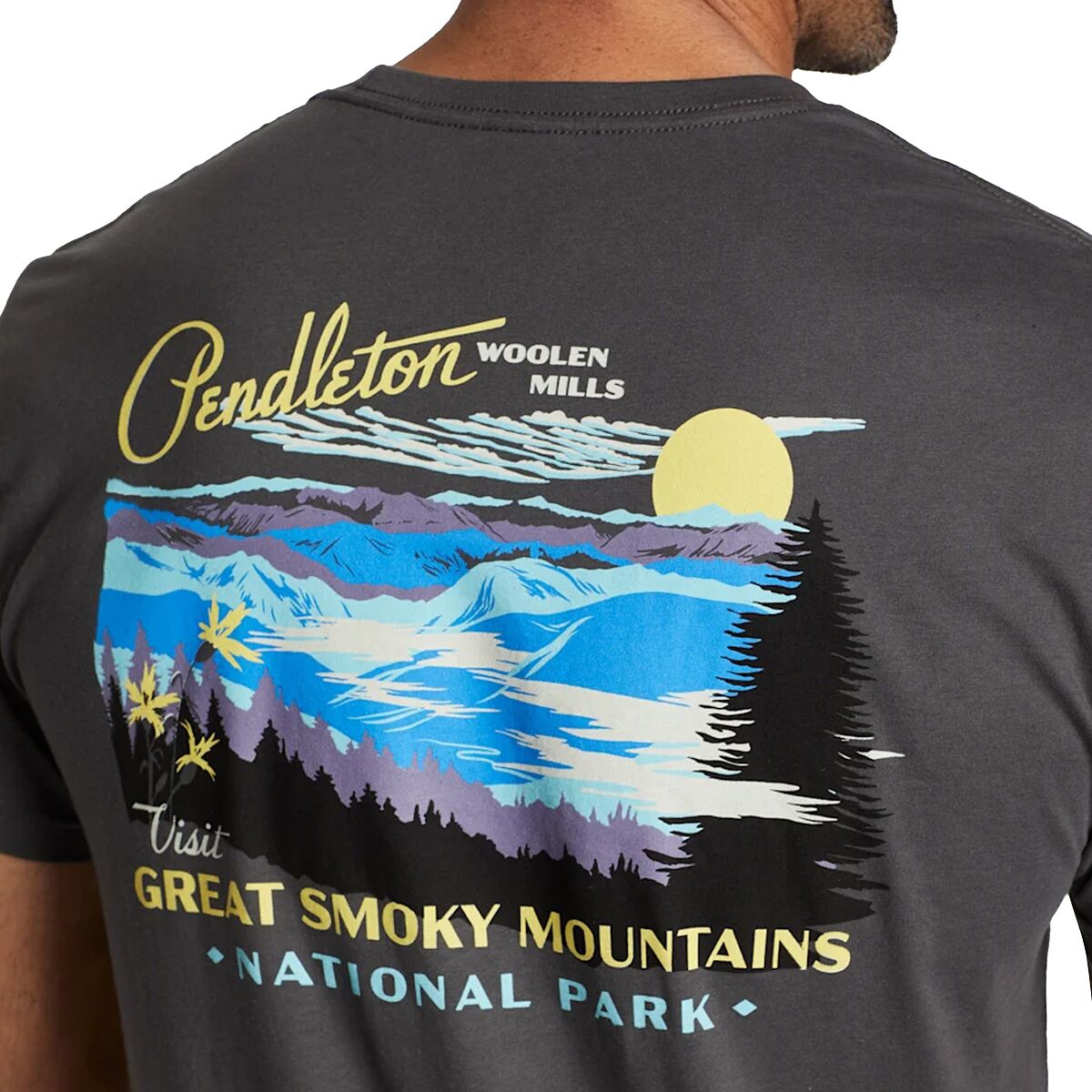 Pendleton Great Smokey Mountains Short-Sleeve T-Shirt - Men's - Clothing