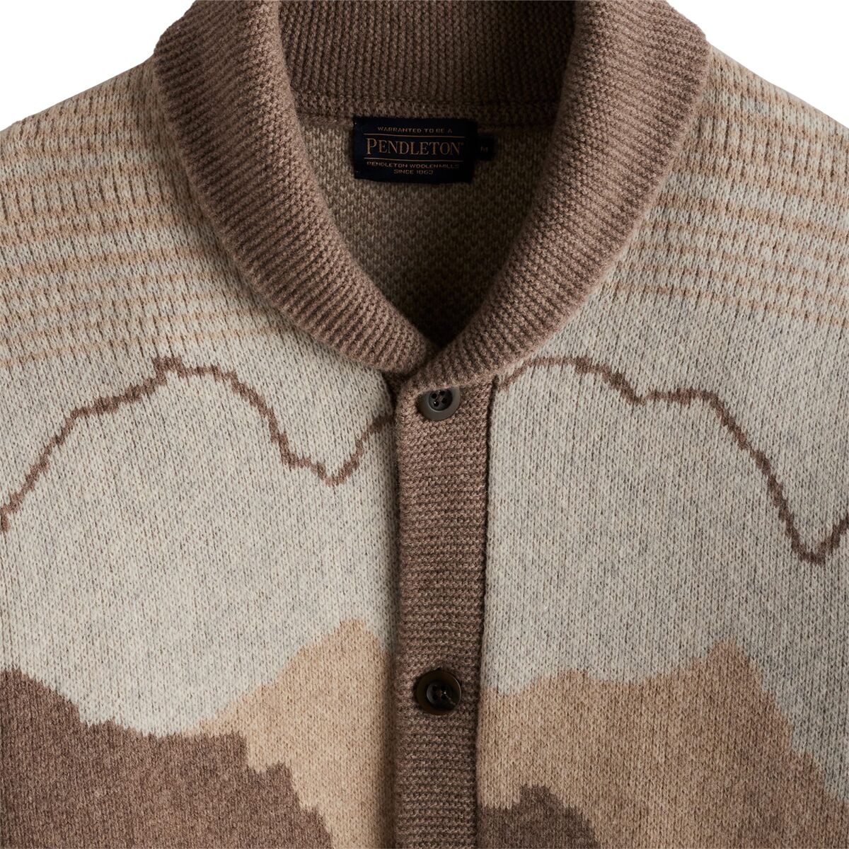 Pendleton In Their Element Sweater - Men's - Clothing